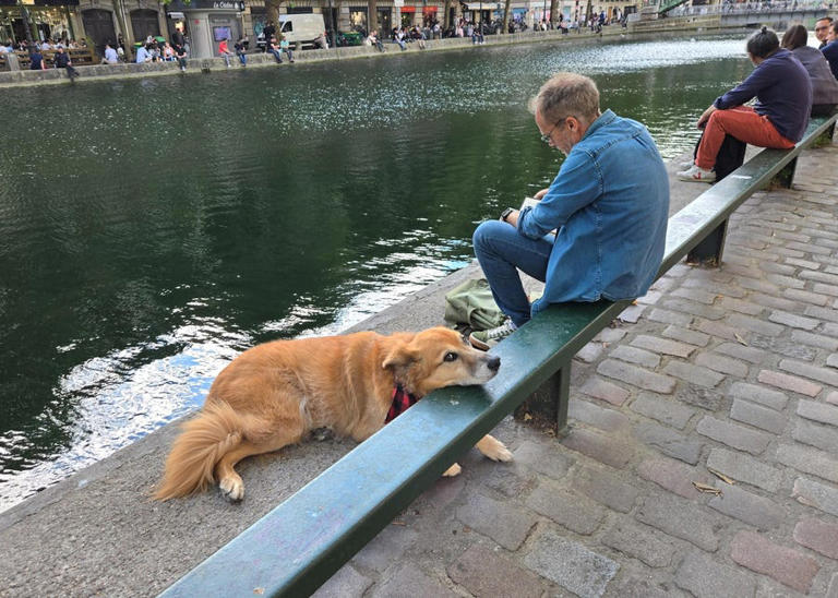 The Galaxy S25's Big Reveal Is Now. How to Watch Samsung Unpacked 2025