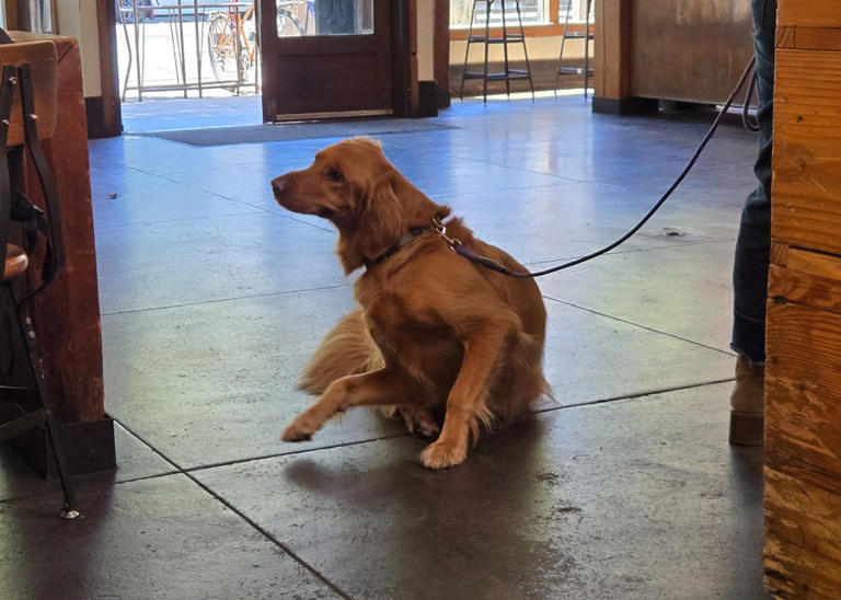 The Galaxy S25's Big Reveal Is Now. How to Watch Samsung Unpacked 2025