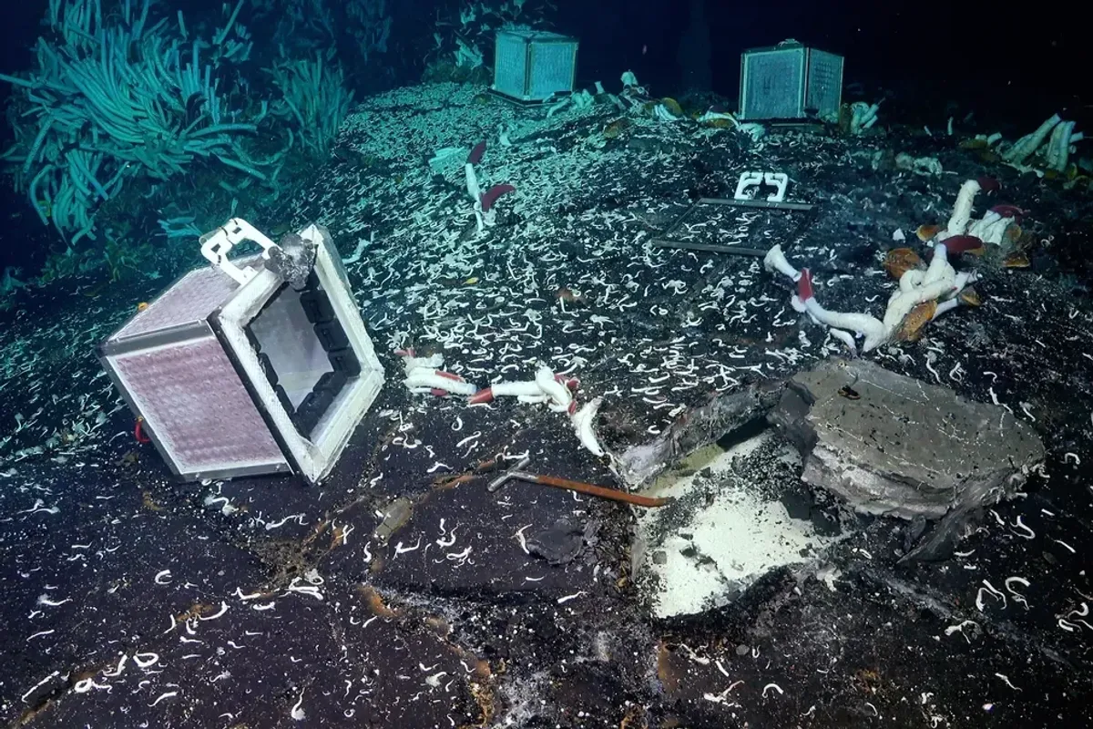 Jaw-dropping discovery made beaneath seafloor shows Earth's crust is ...