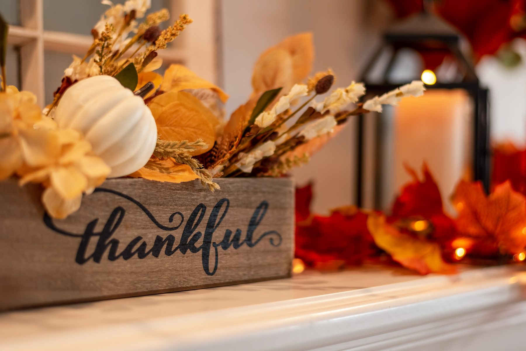 November Holidays and Observances to Celebrate Year After Year