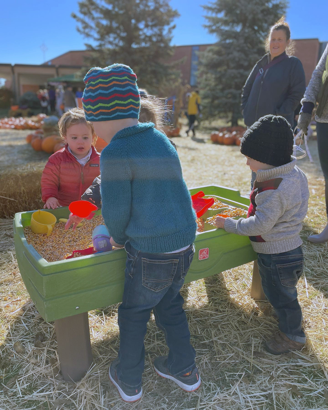Pumpkin Patch at Our Lady of Peace