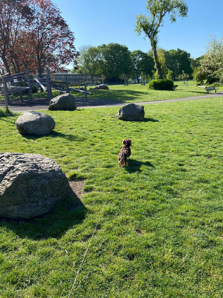 Walking Challenge: ‘I Walked for 30 Minutes Every Day for a Month, Here ...