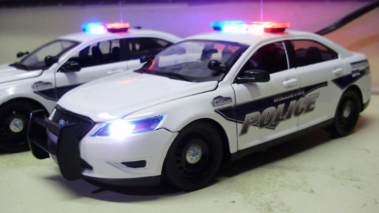 Williston man arrested for assault, terrorizing, and firearm possession