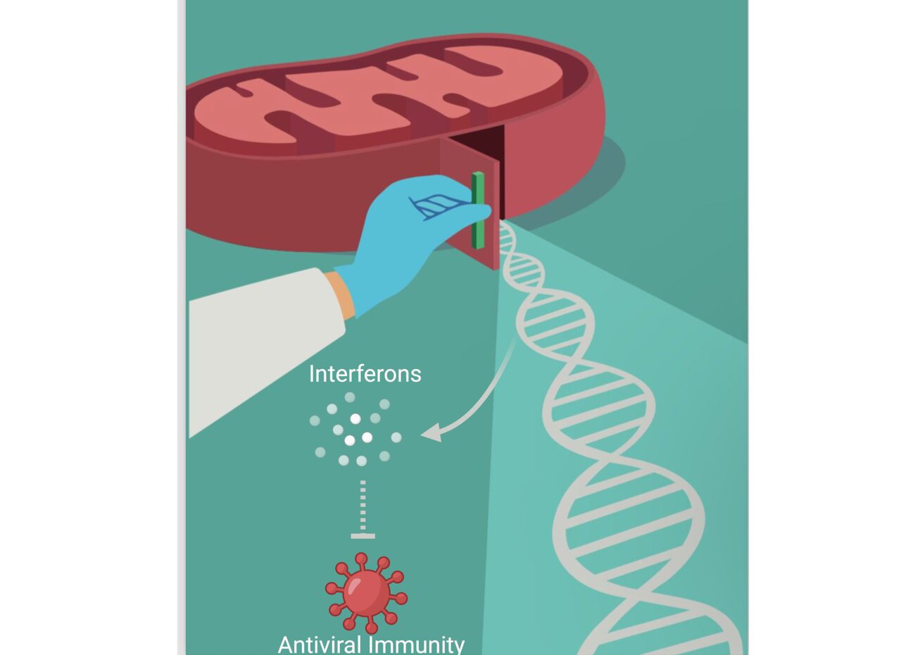 'Two for the price of one'—scientists discover new process to drive ... 'Two for the price of one'—scientists discover new process to drive ...