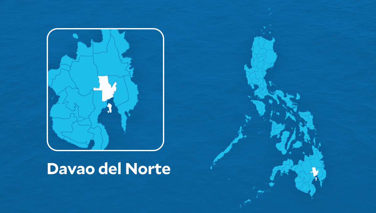 24 'illegal' Chinese workers held in Davao