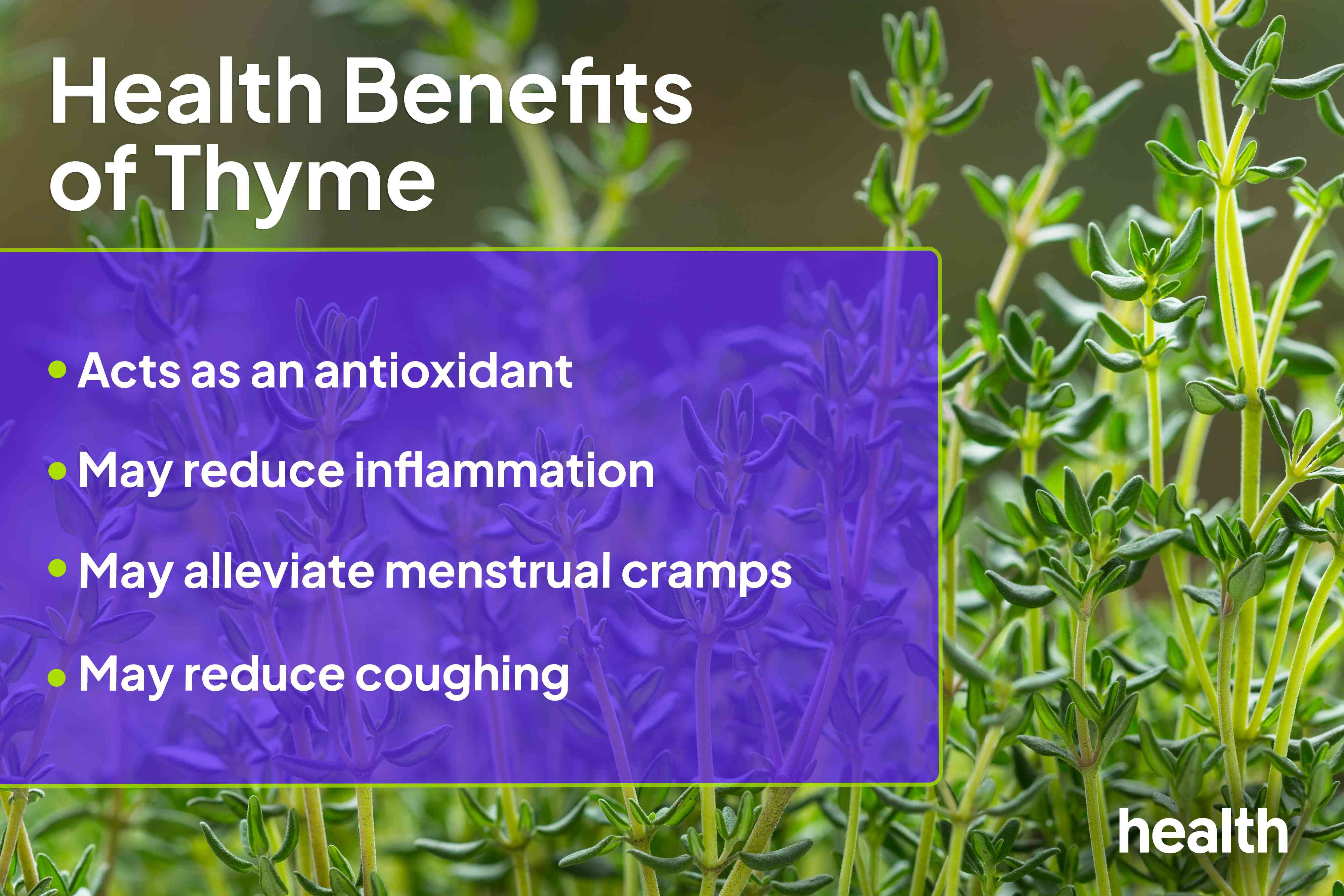 Potential Health Benefits of Thyme