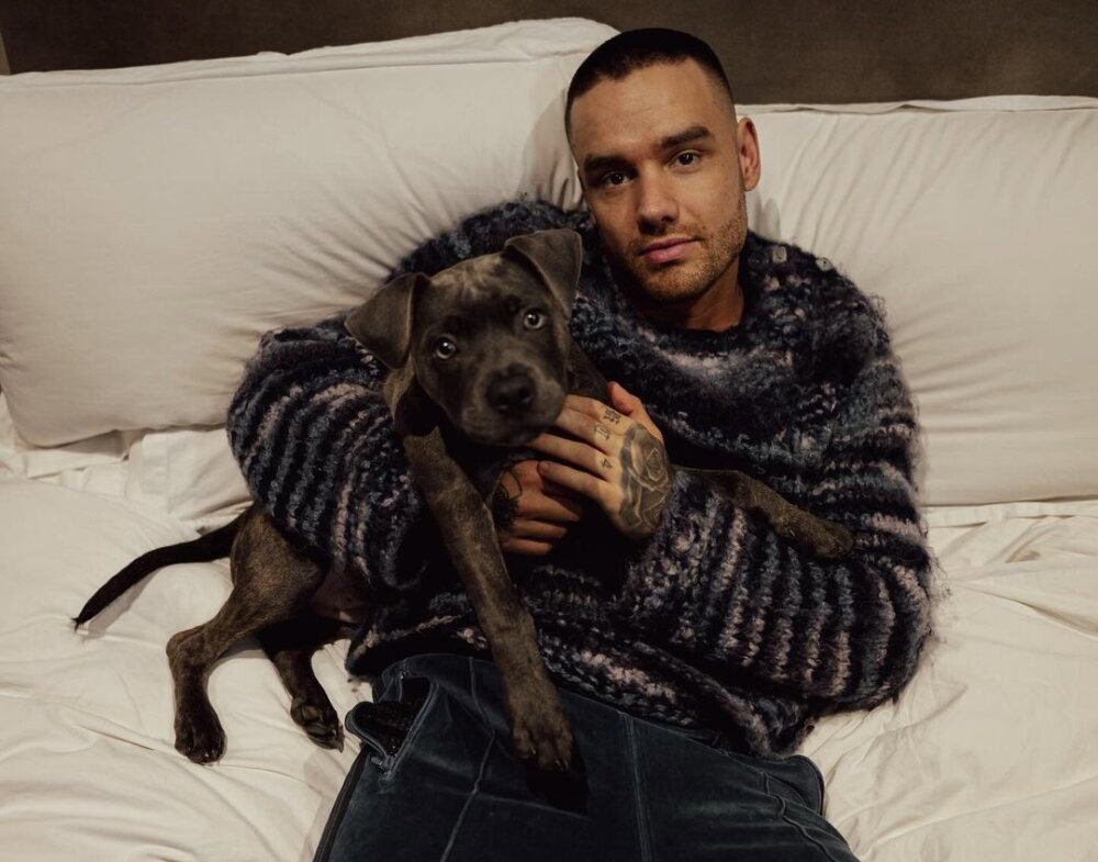 Liam Payne, l’ex membro dei One Direction trovato morto a Buenos Aires ... Liam Payne, l’ex membro dei One Direction trovato morto a Buenos Aires ...