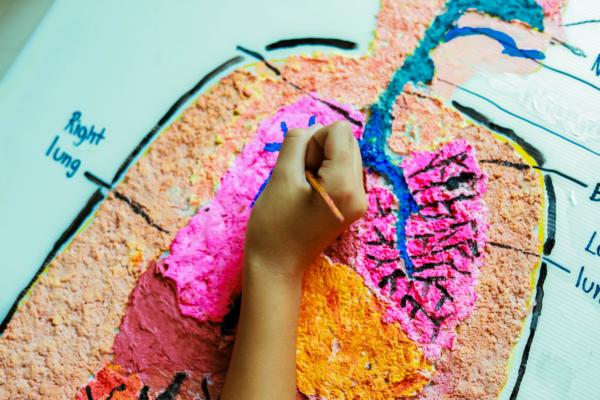 Saurez-vous nommer tous les systèmes du corps