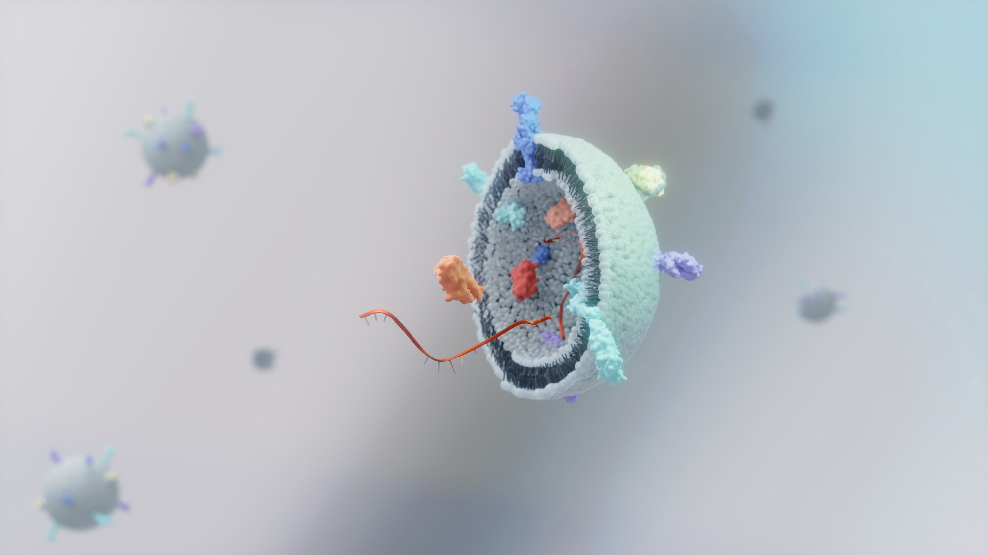 Extracellular Vesicles: Emerging Tools for Personalized Cancer Treatment Extracellular Vesicles: Emerging Tools for Personalized Cancer Treatment