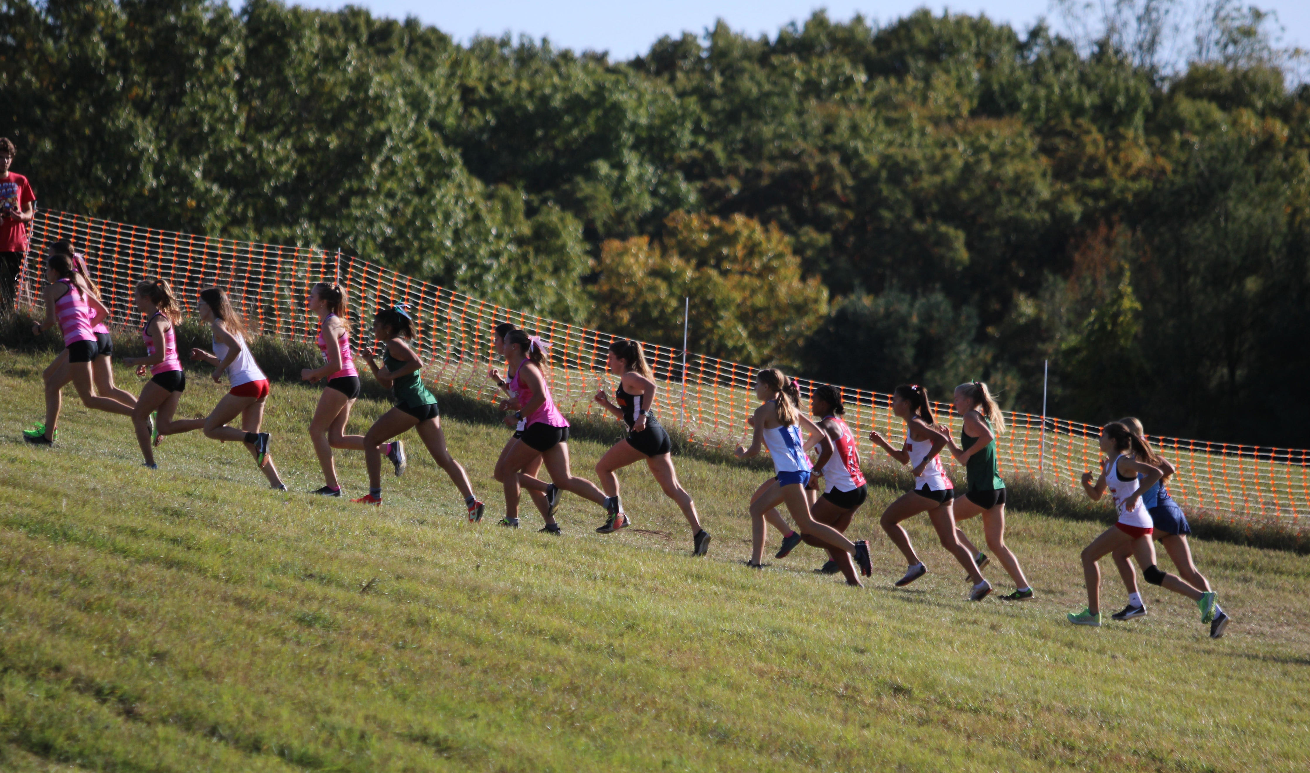 2025 Livingston County fall high school sports schedules
