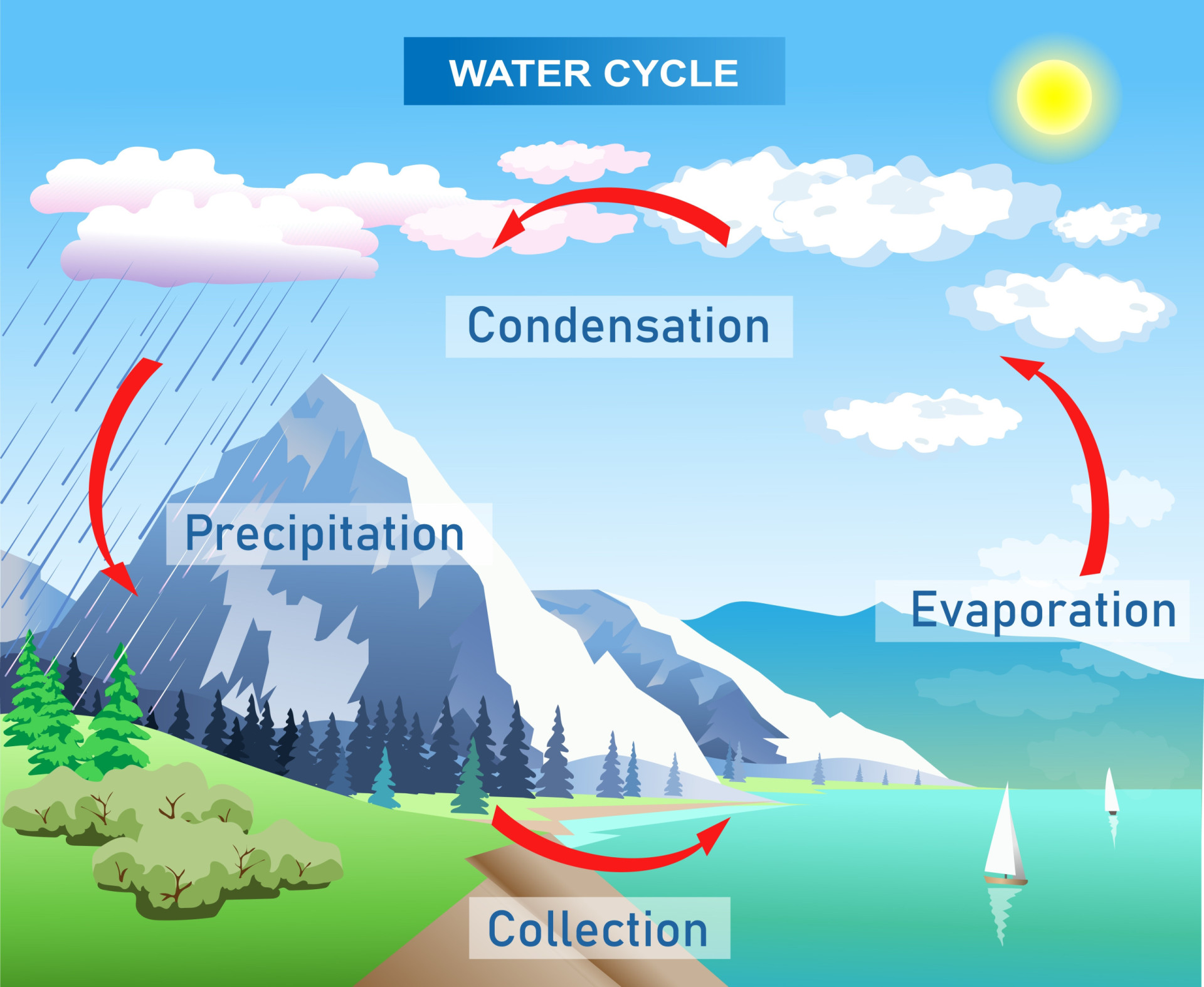 Unprecedented water disaster causes global climate crisis