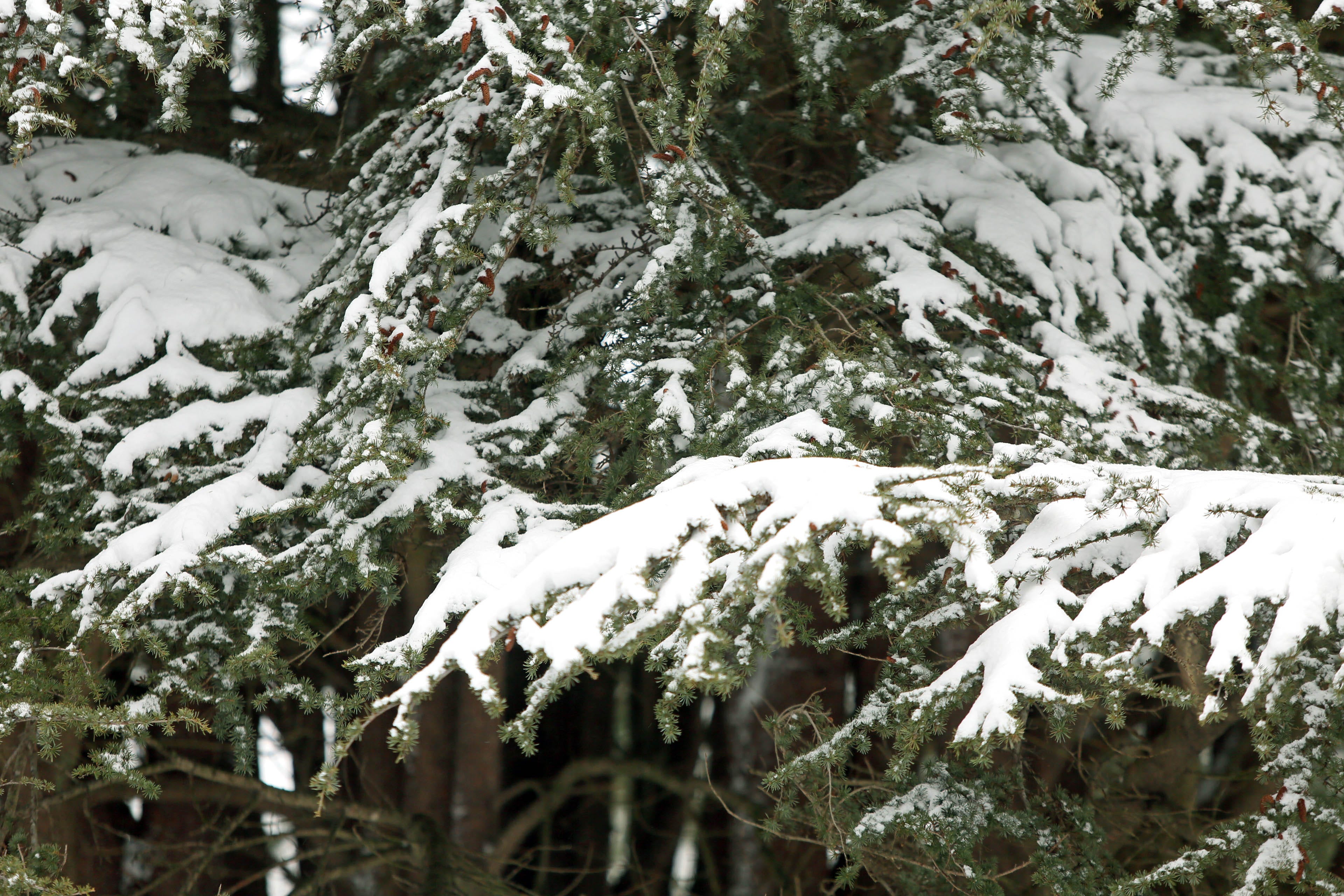 When will the first frost hit Delaware? Here's what historical data says