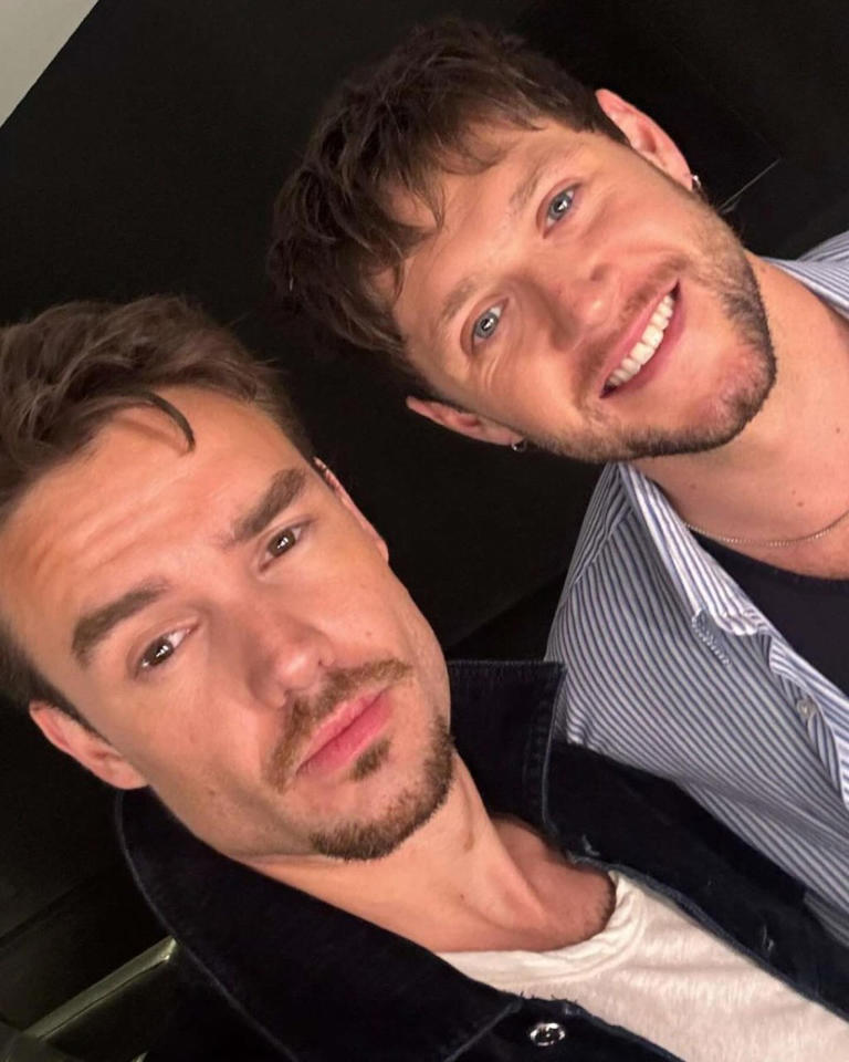 Former One Direction Bandmate Niall Horan Breaks Silence After Liam