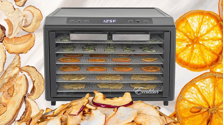 12 Easy Mistakes To Avoid With Your Dehydrator