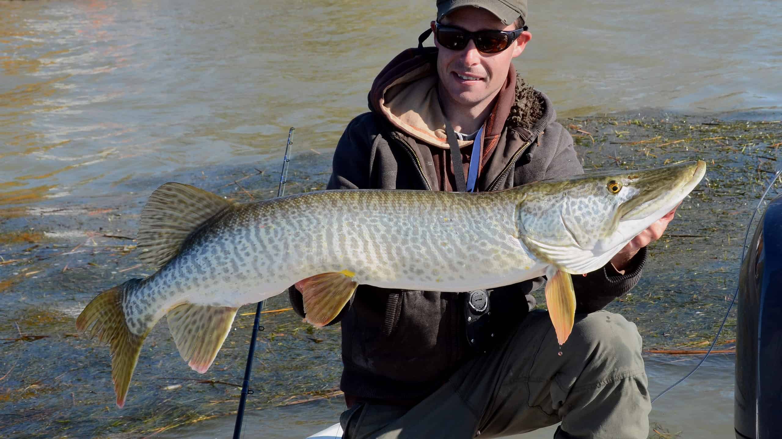 How Big Was the Largest Muskie Ever Caught?