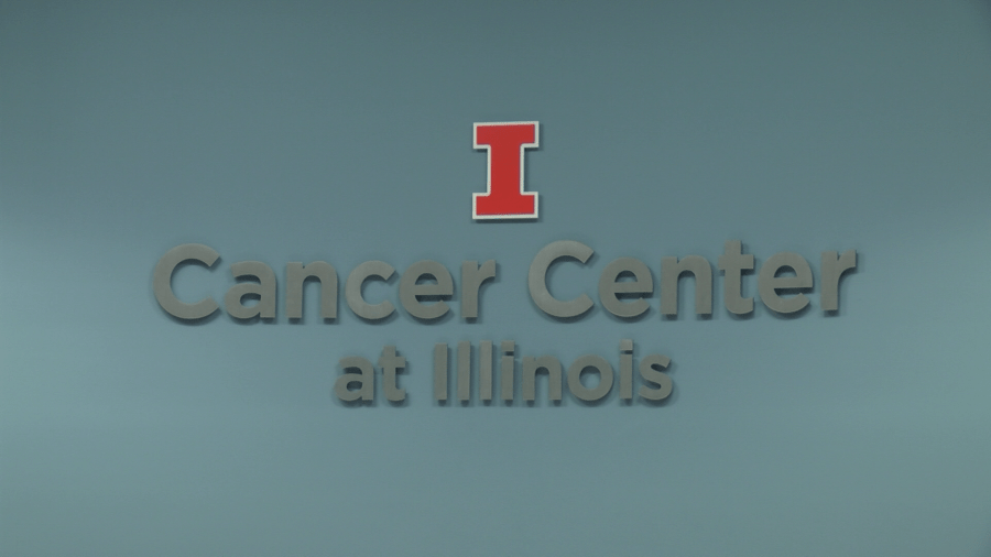 U of I researchers link bacteria to prostate cancer growth