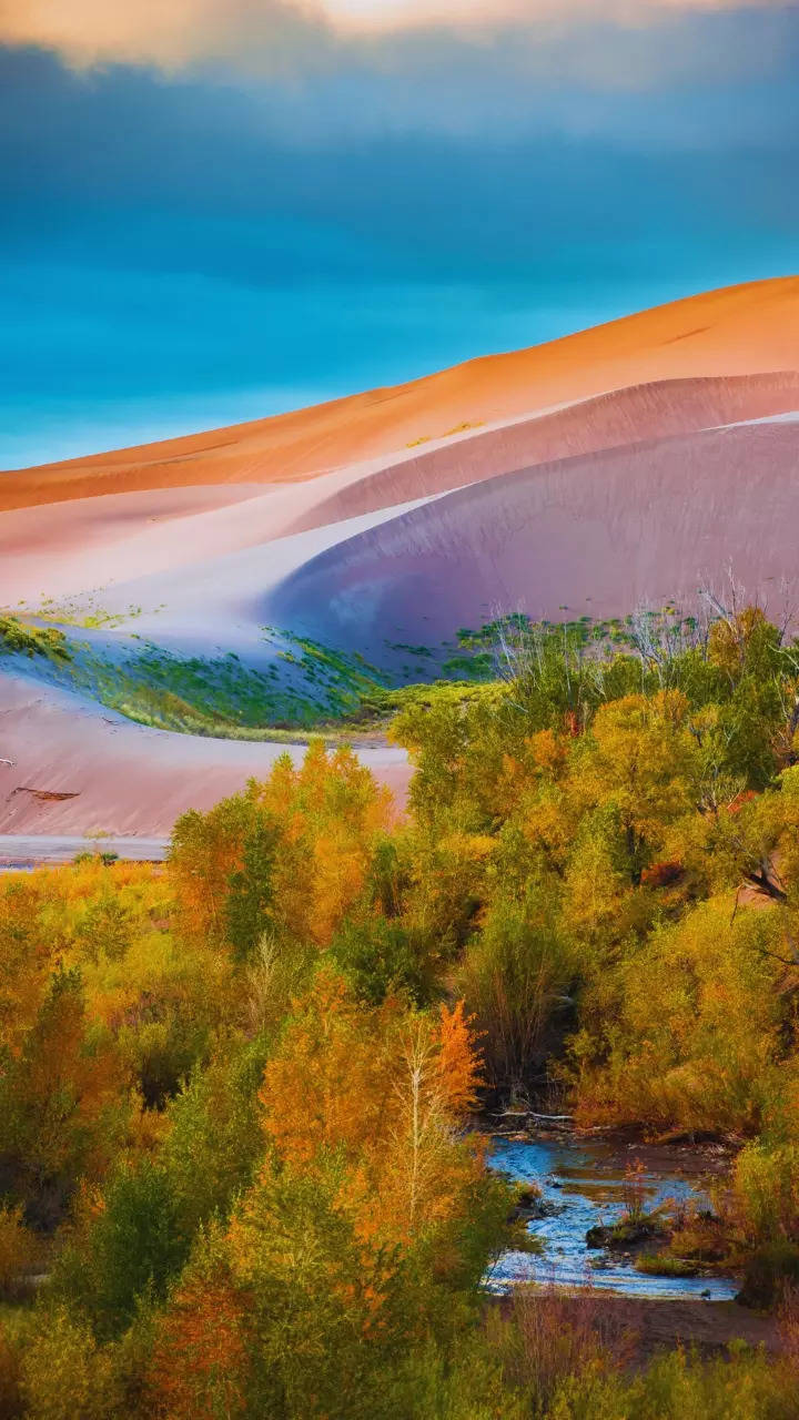 These 8 countries have no rivers These 8 countries have no rivers