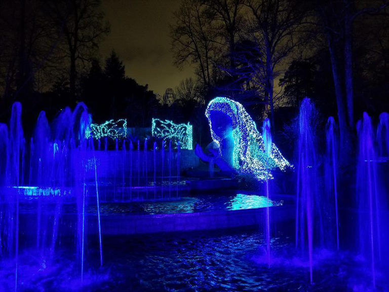 Garden Lights, Holiday Nights at Atlanta Botanical Garden