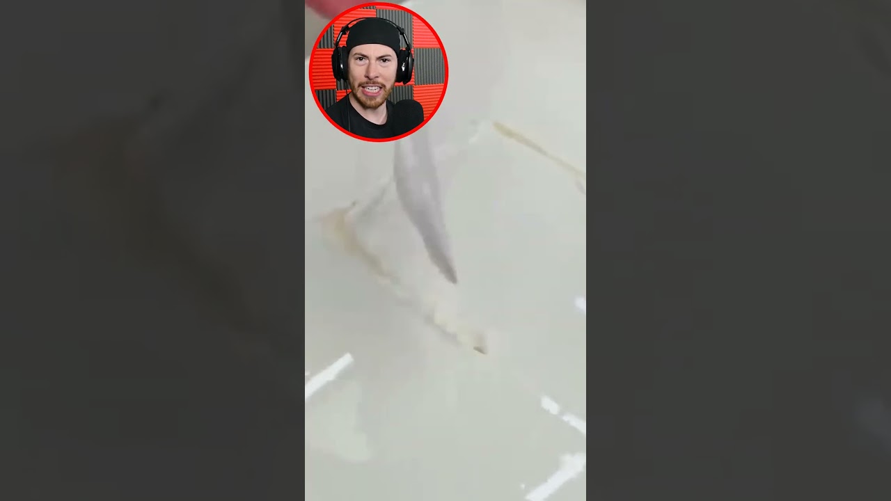 Oddly Satisfying Optical Illusions—Trippy Visuals Shown