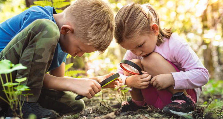Et si vous optiez pour des sorties en forêt pour occuper vos enfants ... Et si vous optiez pour des sorties en forêt pour occuper vos enfants ...
