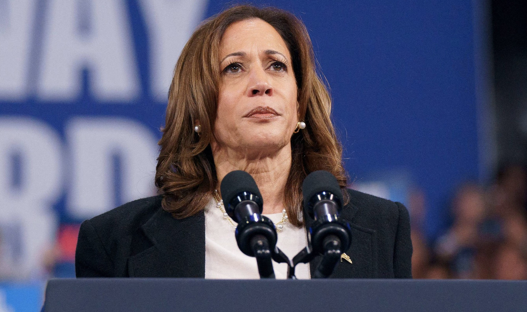 Can Kamala Harris Win? Famed Historian Weighs In Can Kamala Harris Win? Famed Historian Weighs In