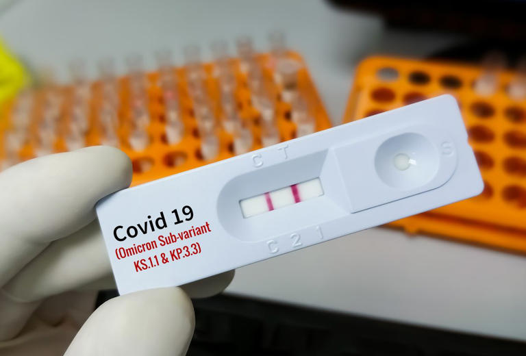 XEC Variant Accounts For One In 10 New COVID Cases- Here Are The Symptoms XEC Variant Accounts For One In 10 New COVID Cases- Here Are The Symptoms