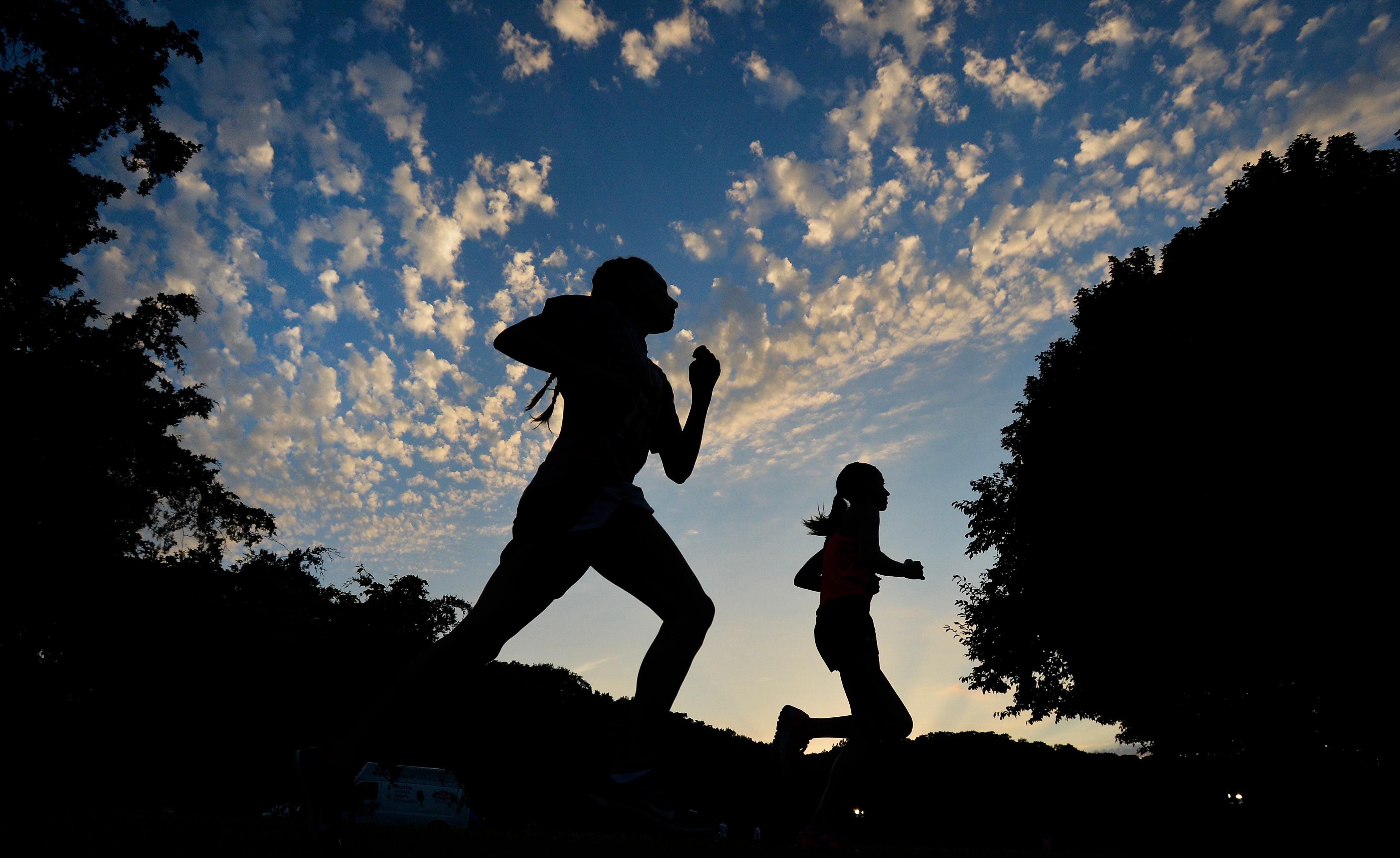 IESA cross country state finals are this weekend. Here are the 267 ...