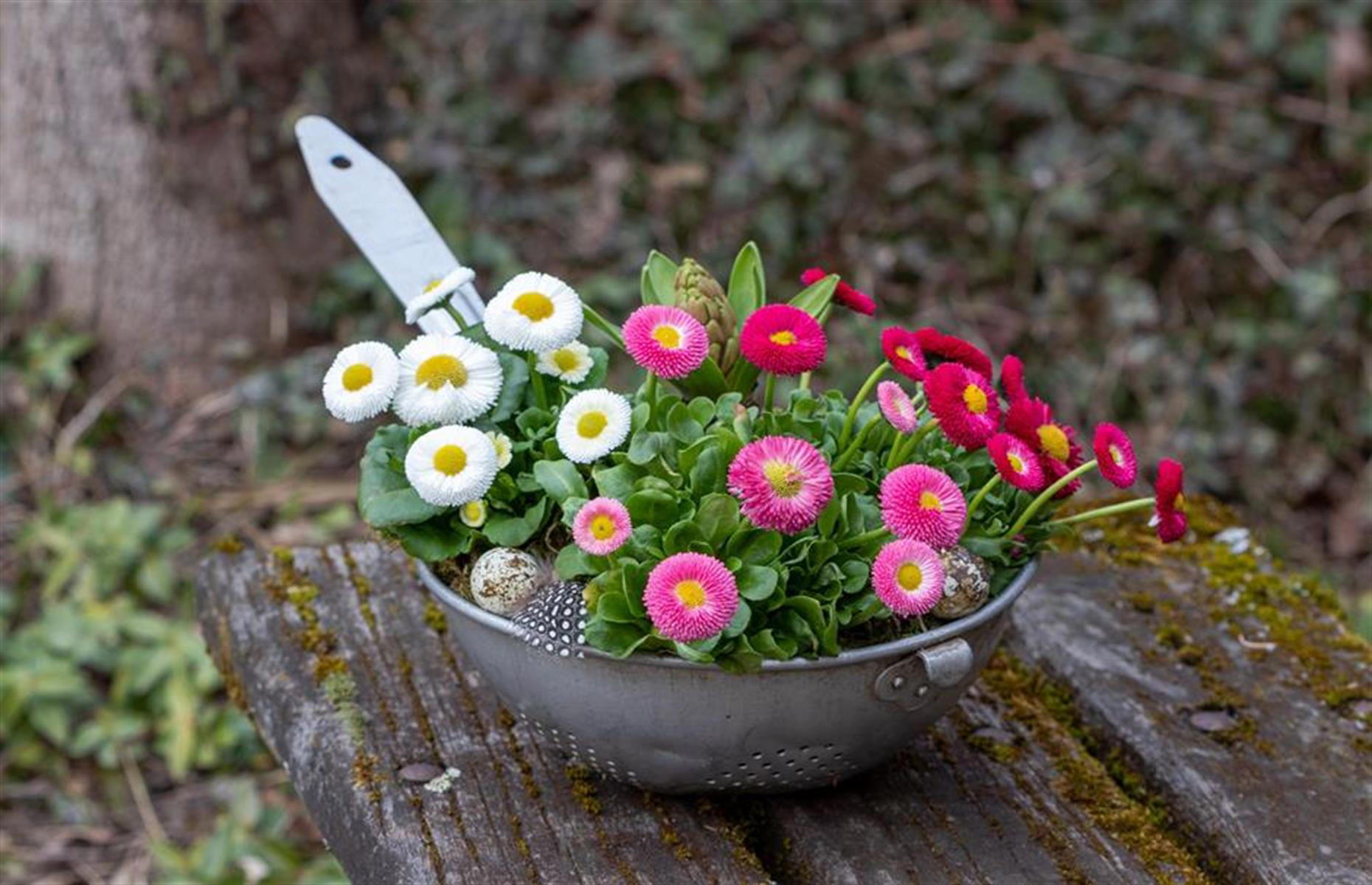 Transform your garden with these 56 simple tricks Transform your garden with these 56 simple tricks