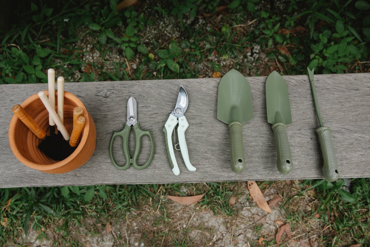 The ten garden tools beginners wish they bought first