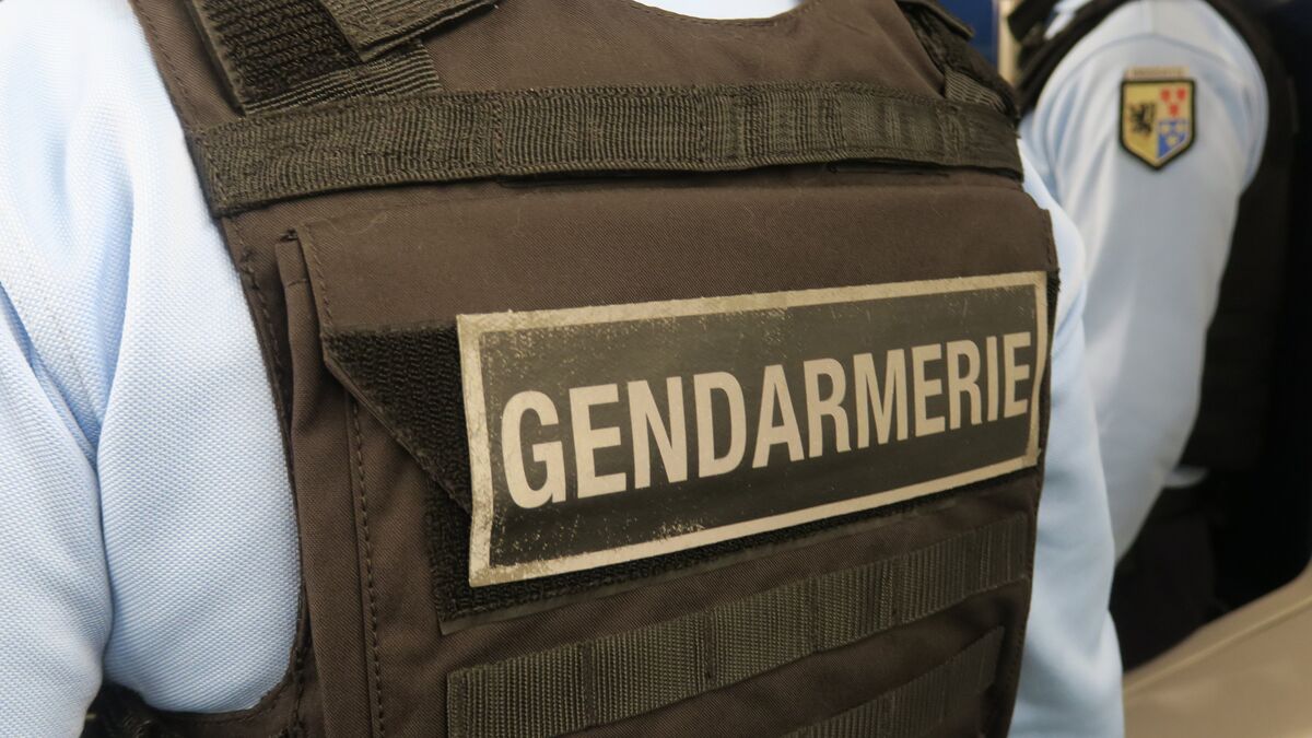 Disparition inquiétante : Elisa, 15 ans, montée dans la voiture d’un ...