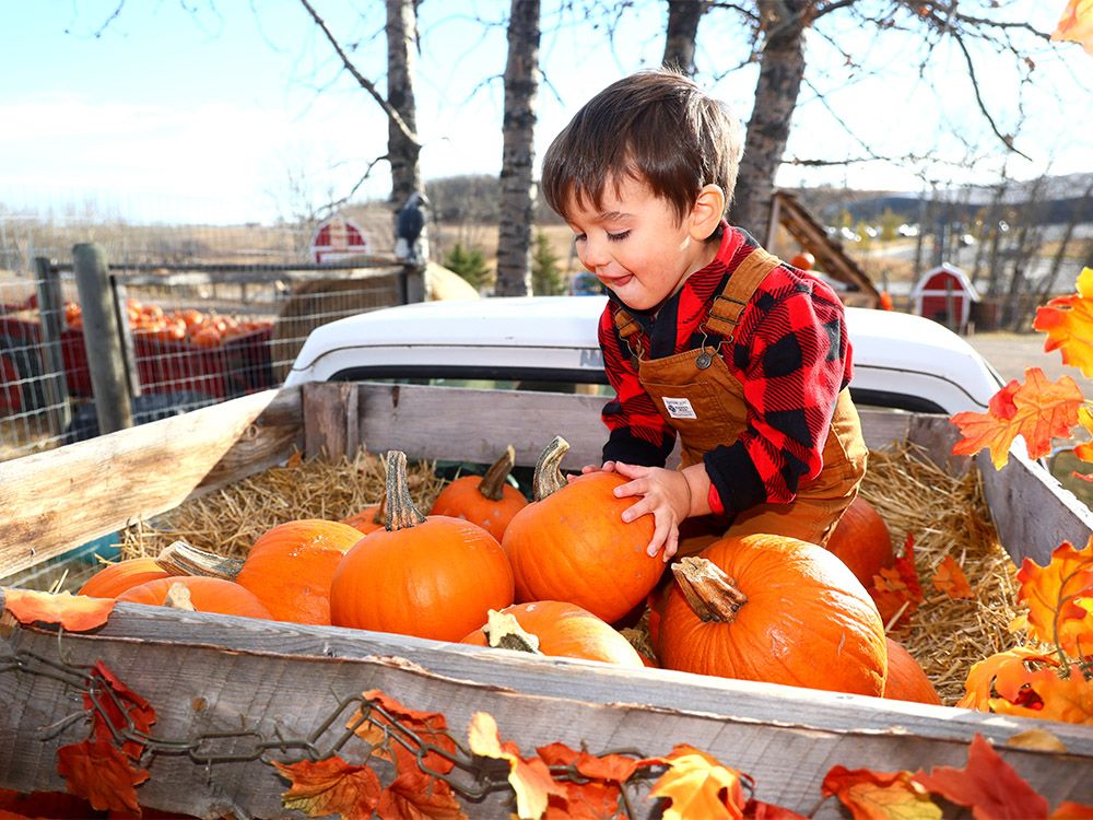 Things to do in Calgary in October: Haunted Calgary | Harvest Fair ...