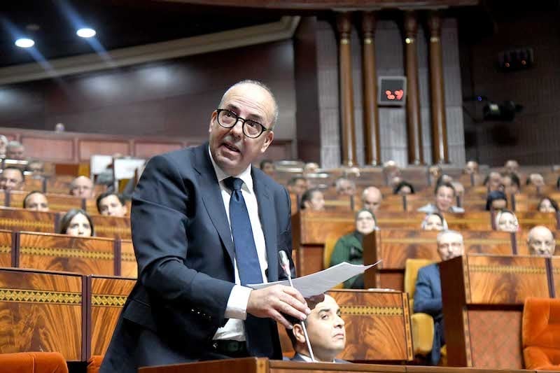 MP calls for establishing wild boar slaughterhouses, exporting meat to ...