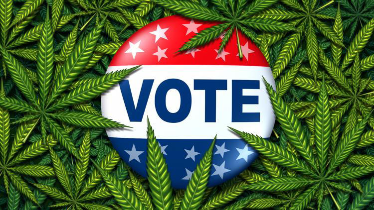 Florida Amendment 3: The recreational marijuana ballot measure explained Florida Amendment 3: The recreational marijuana ballot measure explained