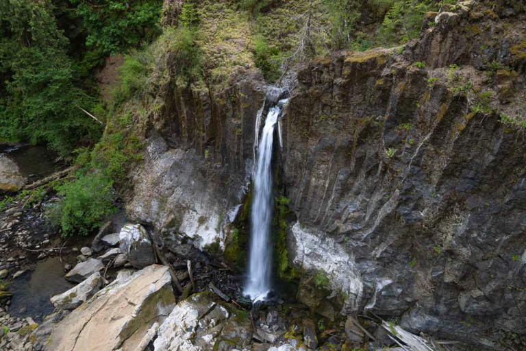 Drift Creek Falls Trail—stunning falls + suspension bridge!