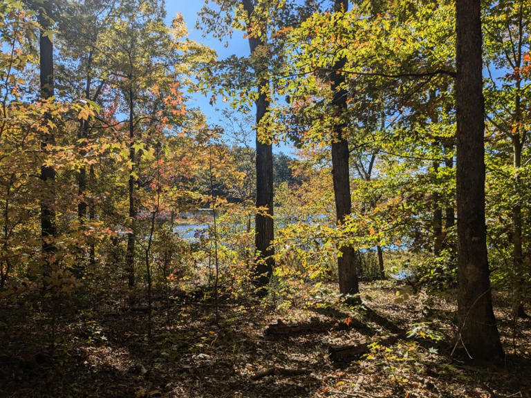 New Virginia Outdoors Plan aims to meet needs for land conservation ...