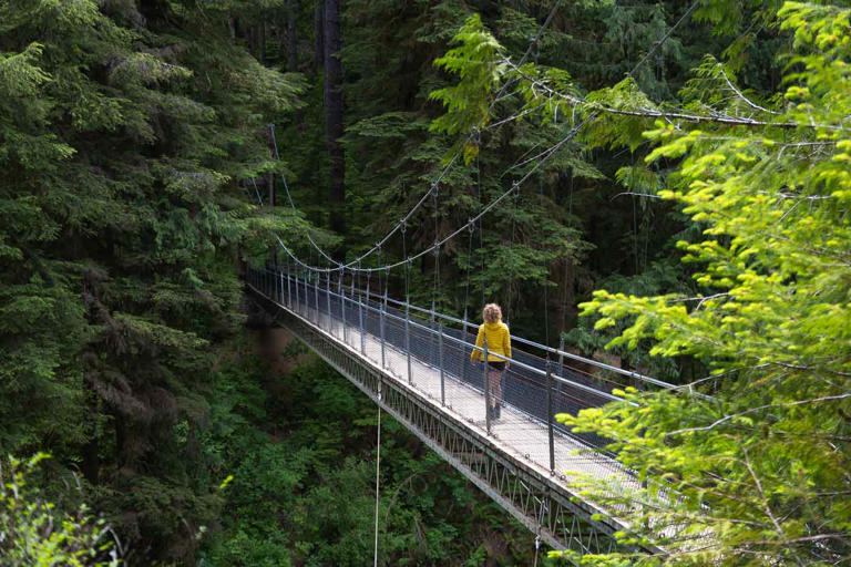 Drift Creek Falls Trail—stunning falls + suspension bridge!