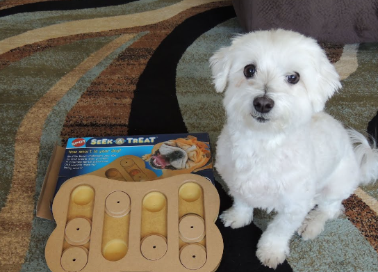 13 Must-Have Dog Products You Likely Won’t Stop Talking About 13 Must-Have Dog Products You Likely Won’t Stop Talking About