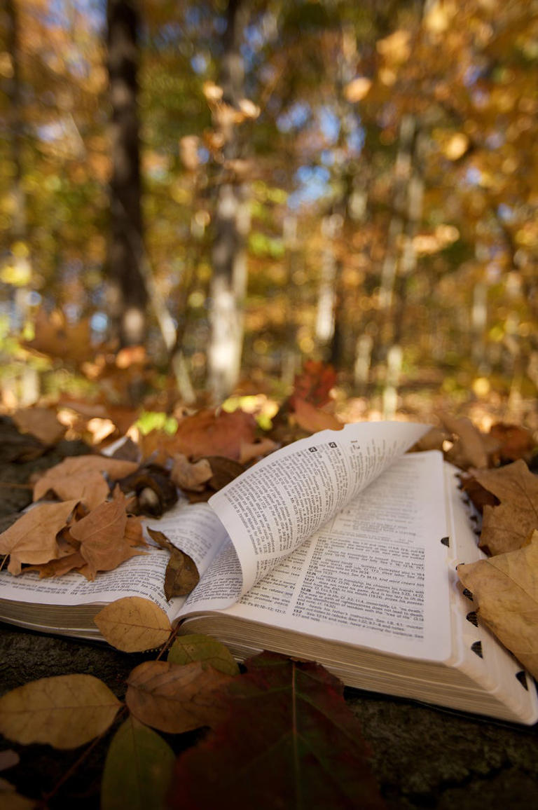 These Fall Bible Verses Will Strengthen Your Faith as the Seasons Change