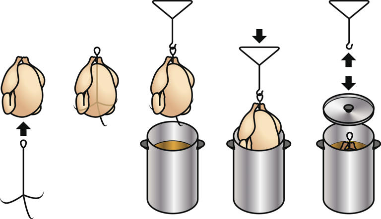 Your Guide To Deep Frying Turkey How To Nail A Juicy Crispy Bird Safely