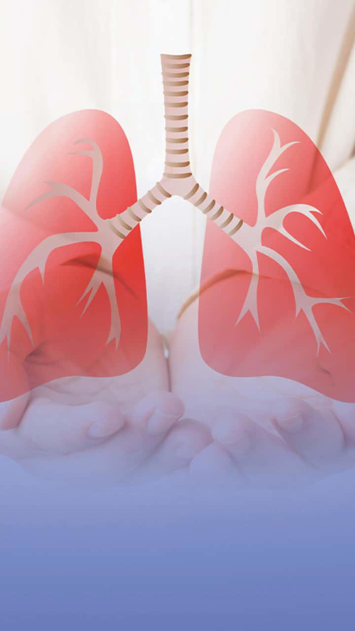 7 tips to keep lungs healthy and safe amid pollution