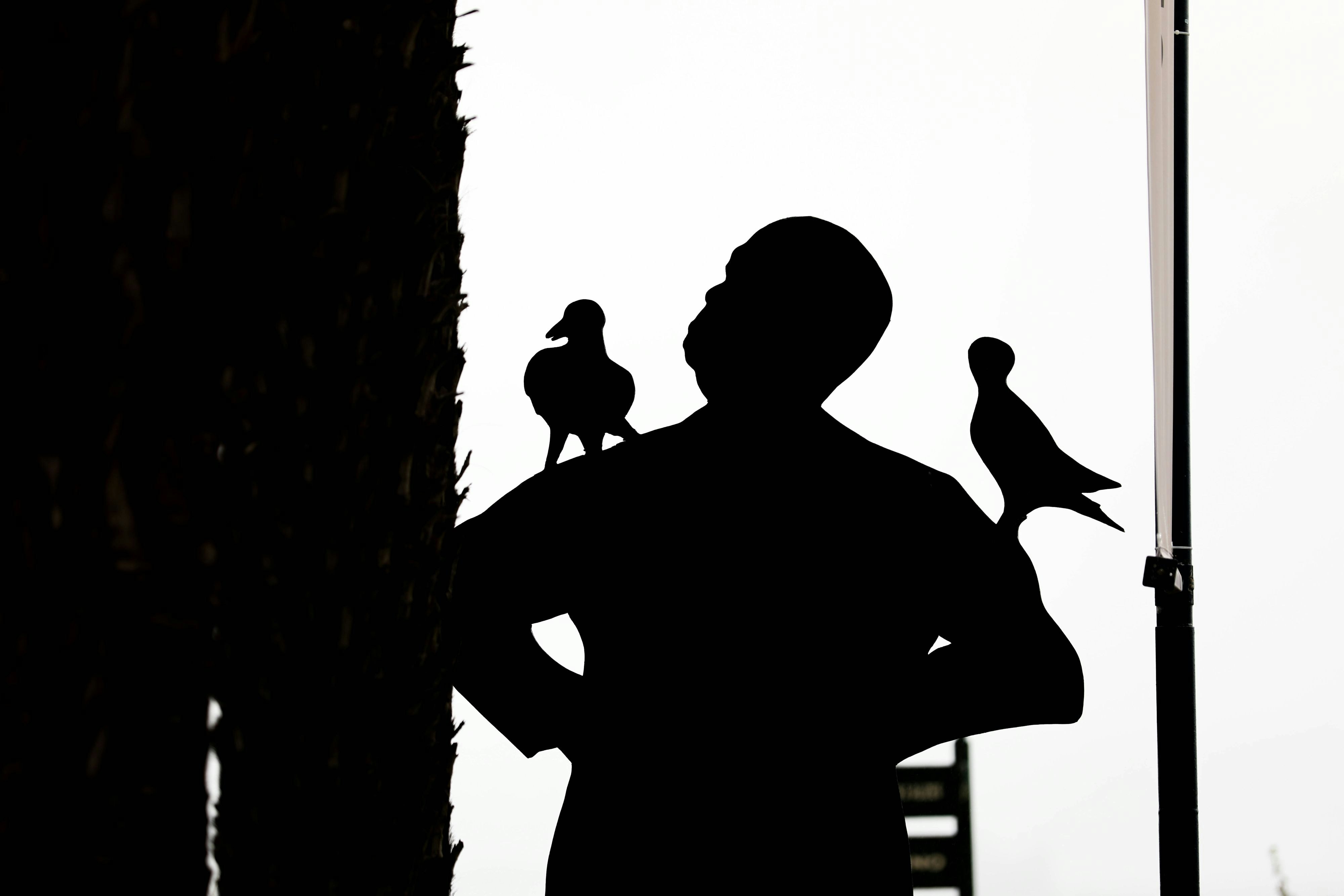 Geniale Klassiker: Diese alten Filme sollte jeder gesehen haben