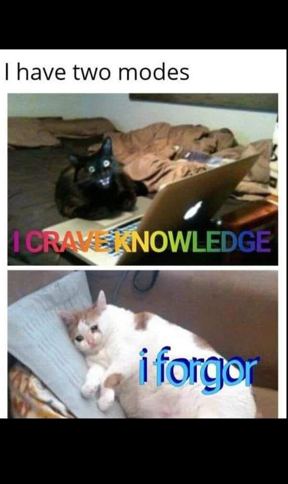 45 Funny ADHD Memes You’ll Forget You Came Here To See