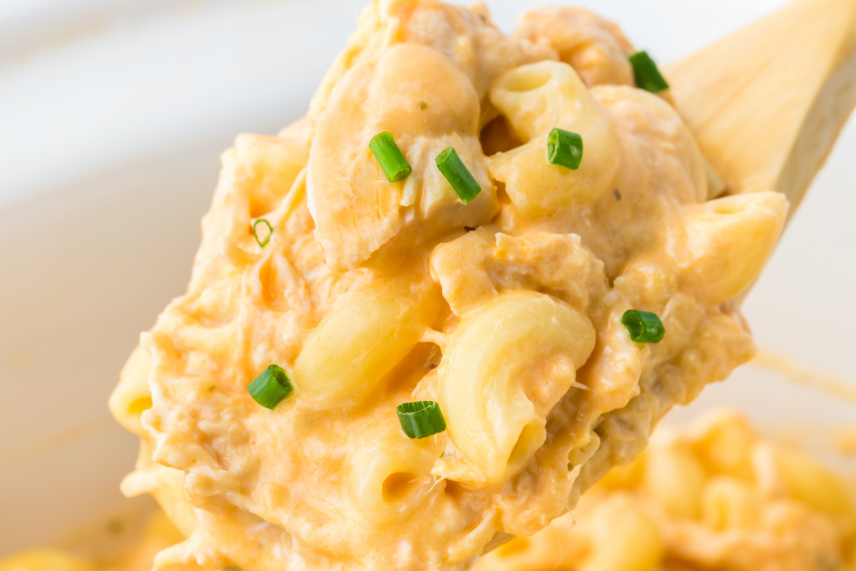 27 slow cooker chicken dinners - so much flavor so little work