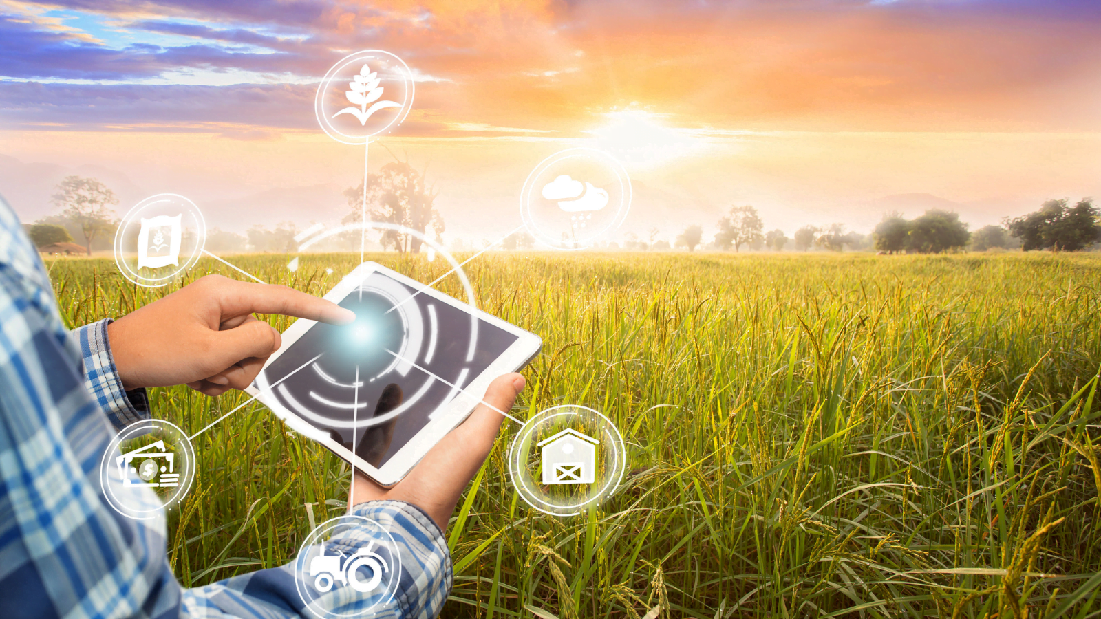 22 Canadian Industries Breaking Through International Markets