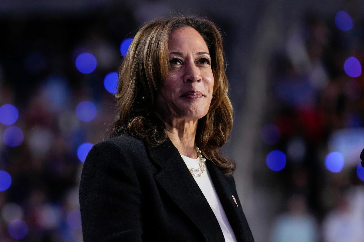 US Presidential Election 2024: Can Kamala Harris still win? US Presidential Election 2024: Can Kamala Harris still win?