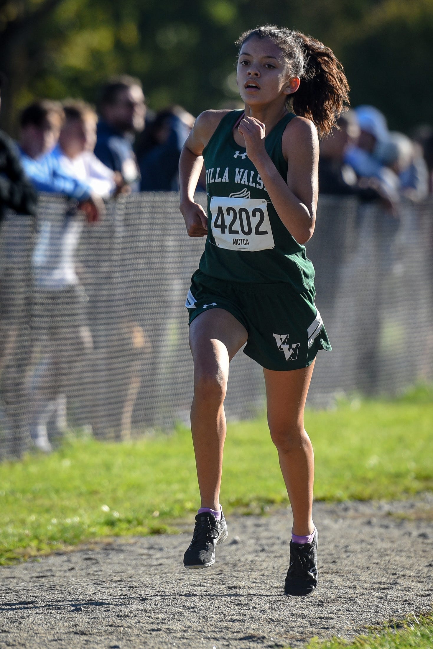 Northwest Jersey Athletic Conference cross country postseason honors