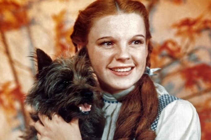 60 Weird and Wonderful Facts about The Wizard of Oz