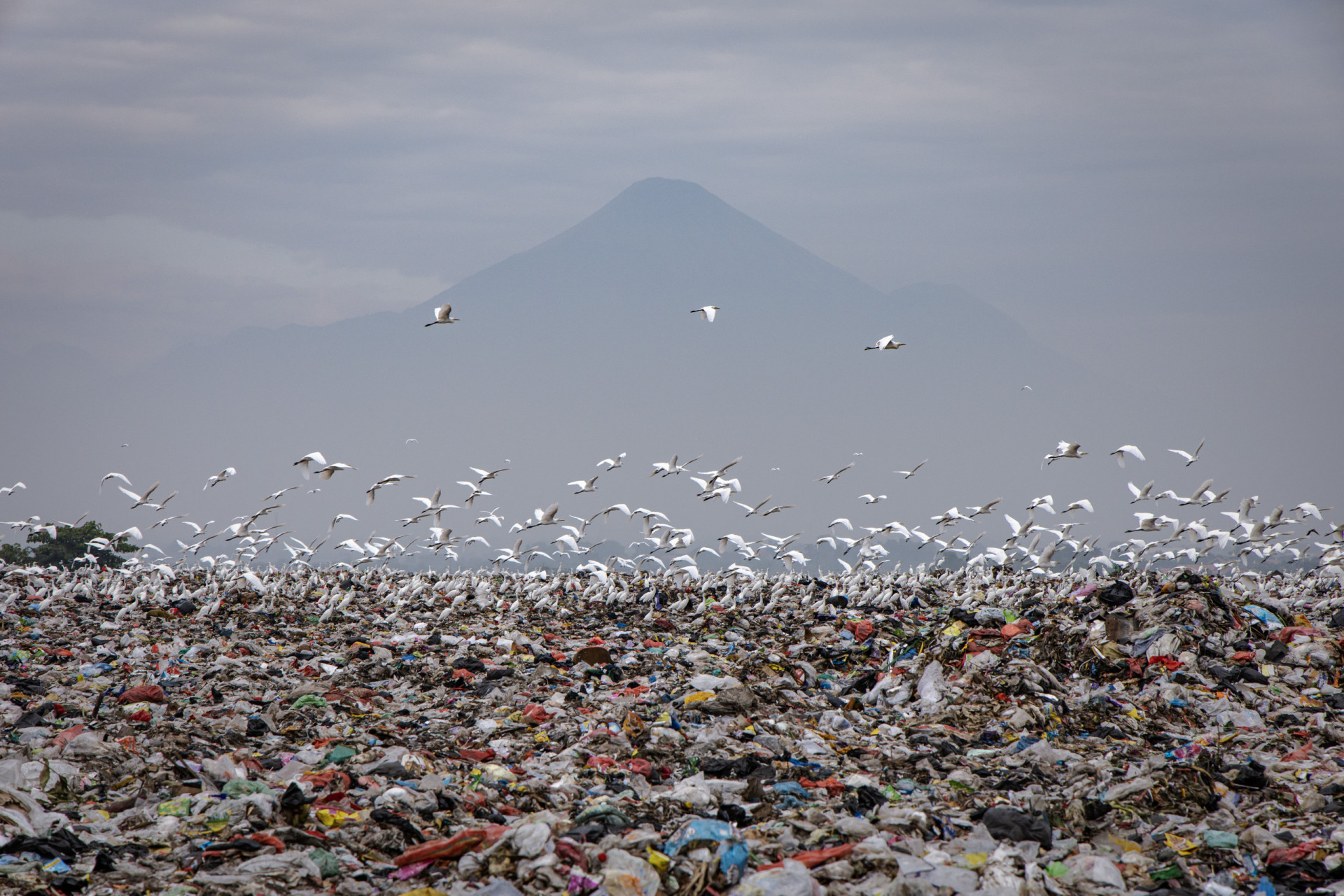 The lie of 'expired' food