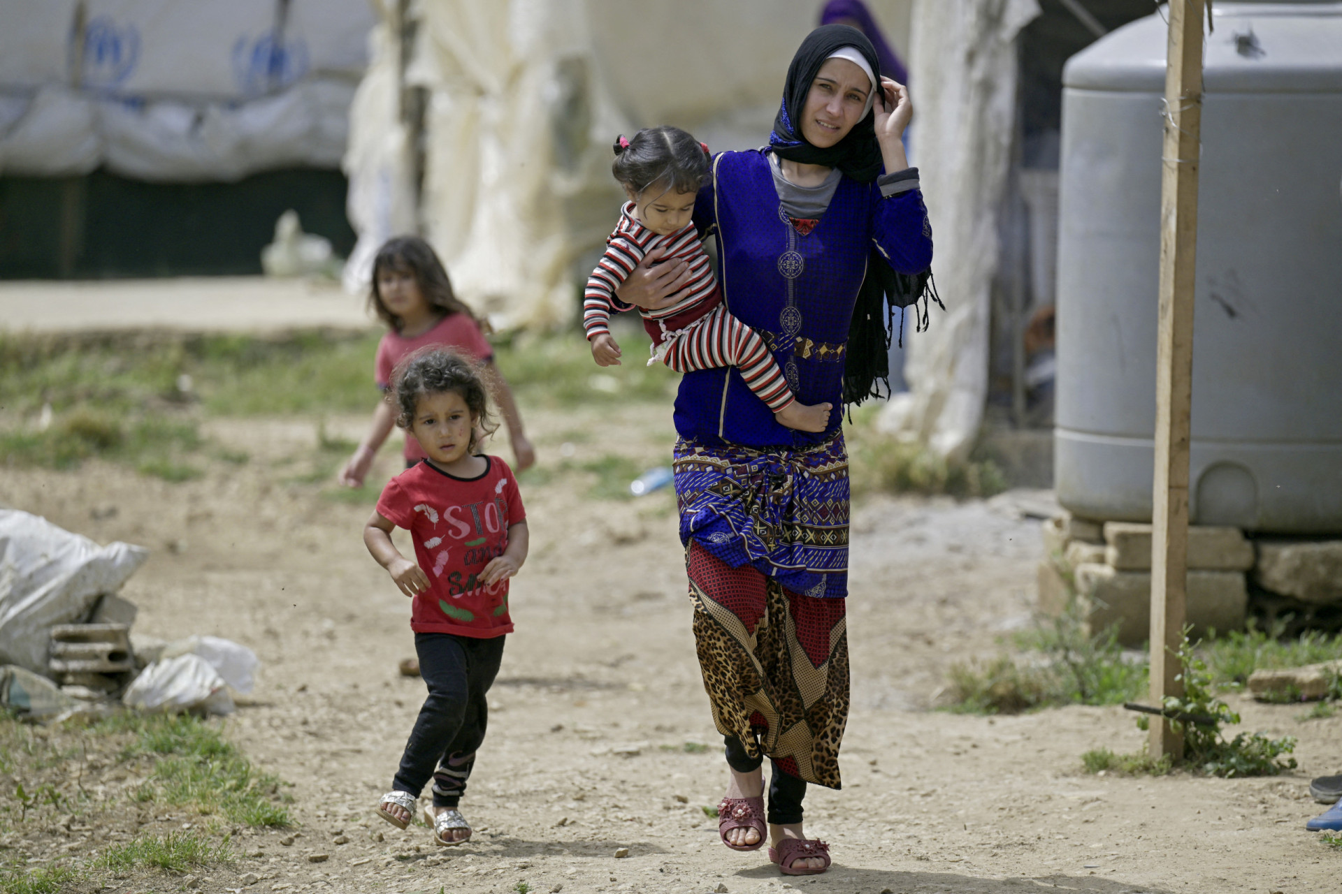 Exploring the major migration routes across the world