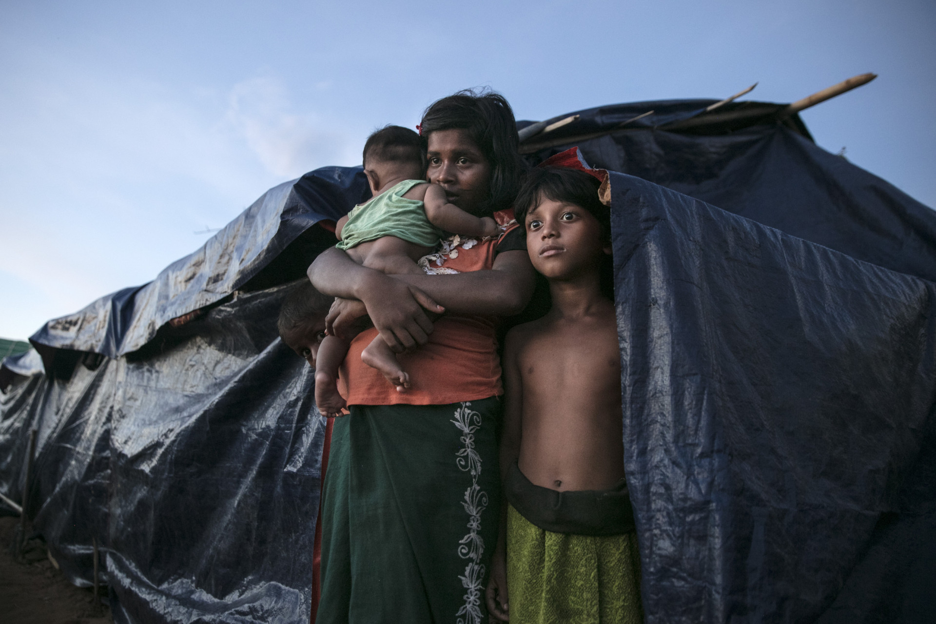 Exploring the major migration routes across the world